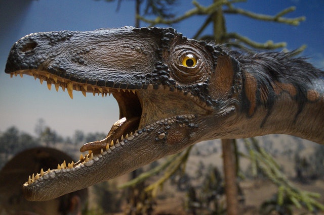 Paleo News – Motherlode of Dinosaur Bones Unveiled & Ancient Giant ...